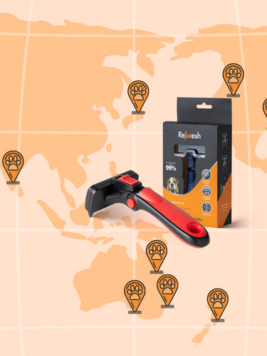 Refuresh | Deshedding tool