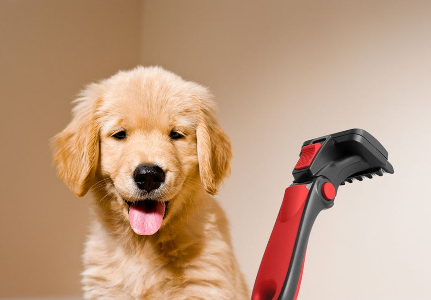 About Refuresh | Deshedding brushes & dog deshedding tools and experts