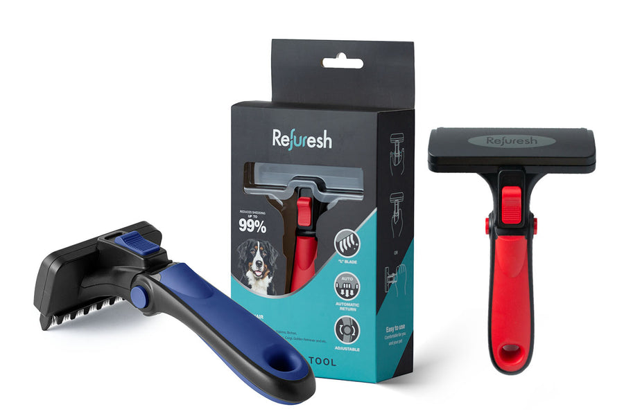 Deshed Golden Retriever fur like a pro – Refuresh